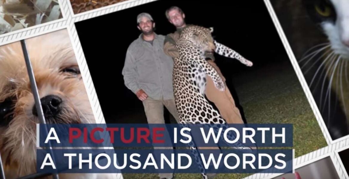 Is Donald Trump a threat to animals? – Center for Public Integrity